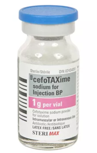 Cefotaxime for Injection | Provepharm
